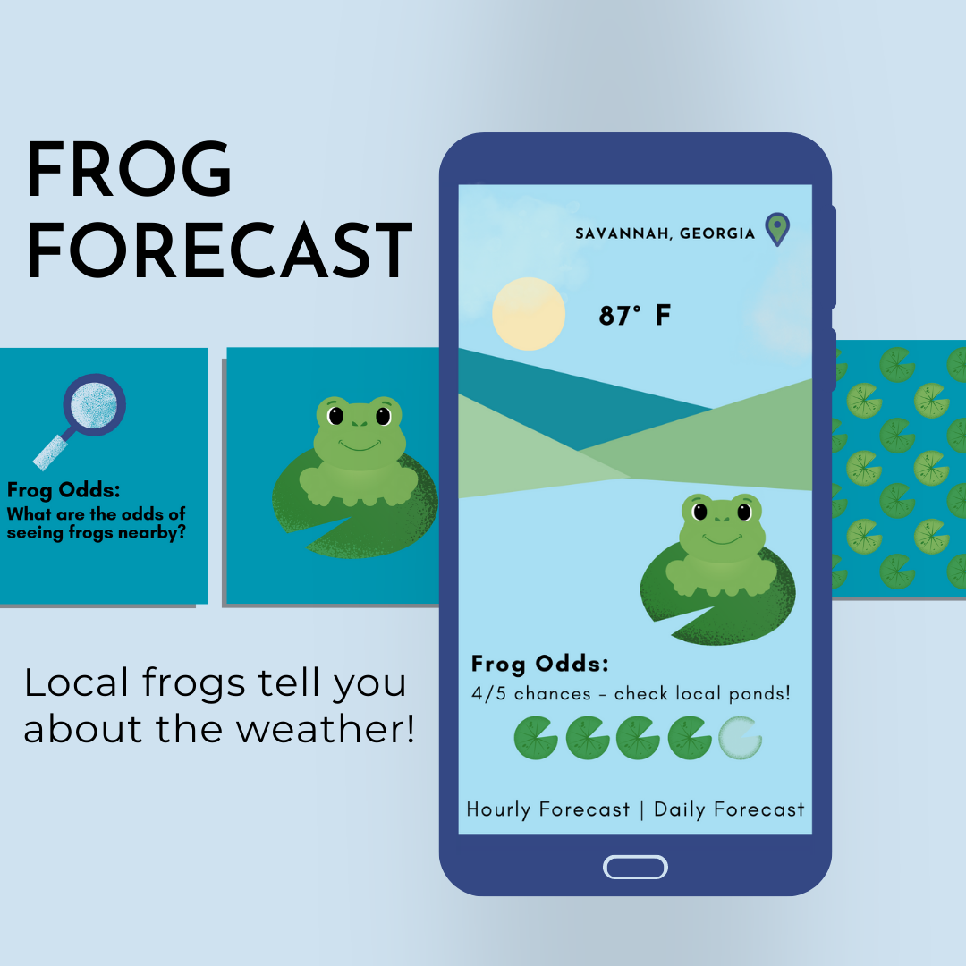 Frog Forecast – Sarah Turek Productions