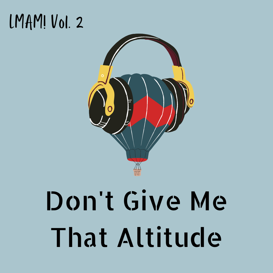Album Covers – Sarah Turek Productions